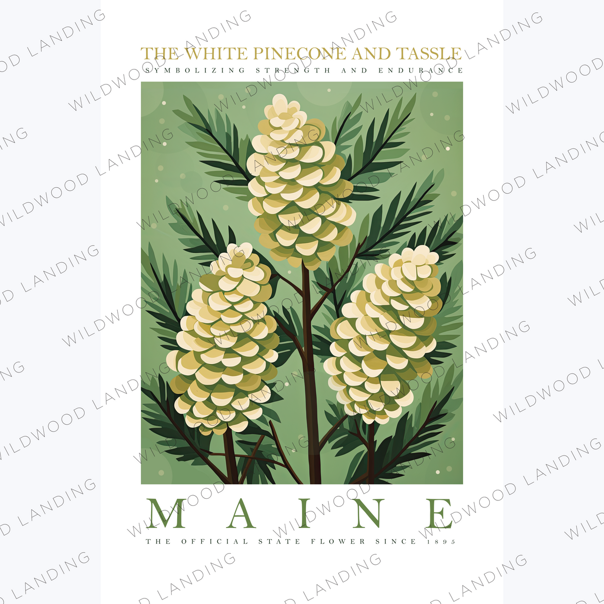 MAINE STATE FLOWER – Wildwood Landing LLC