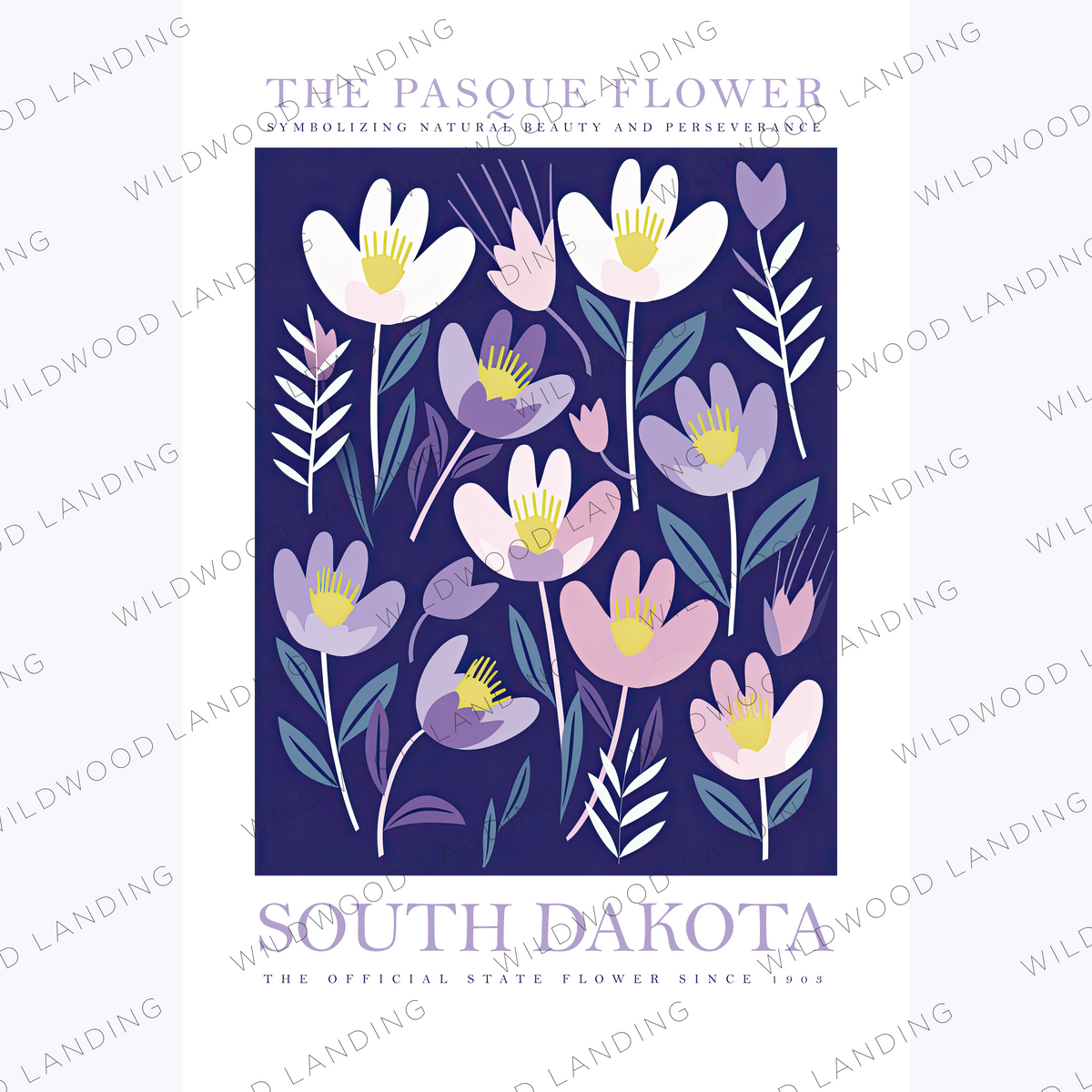 SOUTH DAKOTA STATE FLOWER – Wildwood Landing LLC